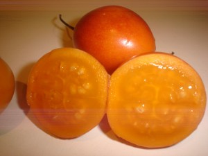 Bottled Tamarillos – mumma bear's diary of a good life